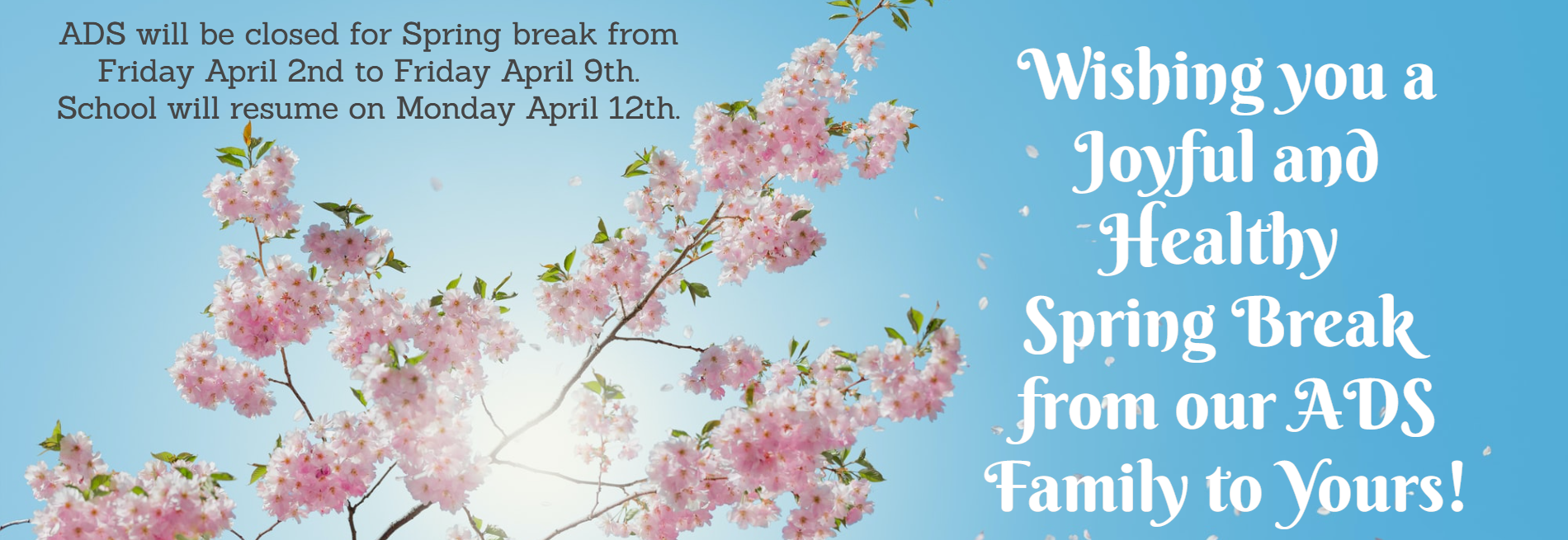 Home [www.adsschool.org]