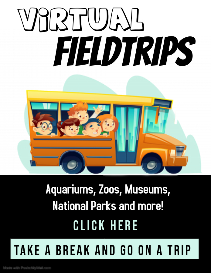 Home [ies.carrollcountyschools.com]